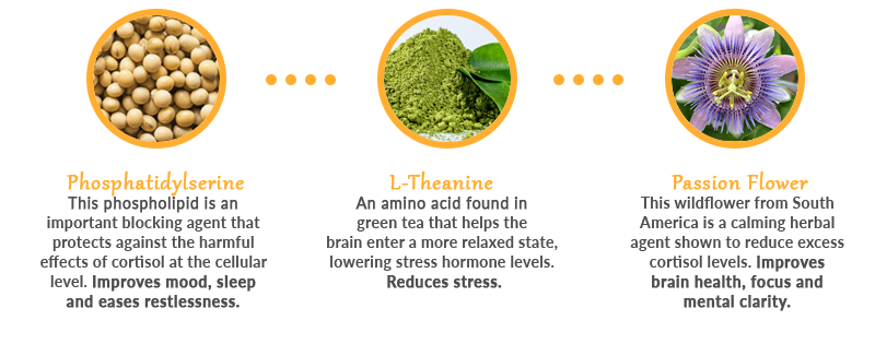 Serinisol for Stress & Insomnia — Women's Health Network