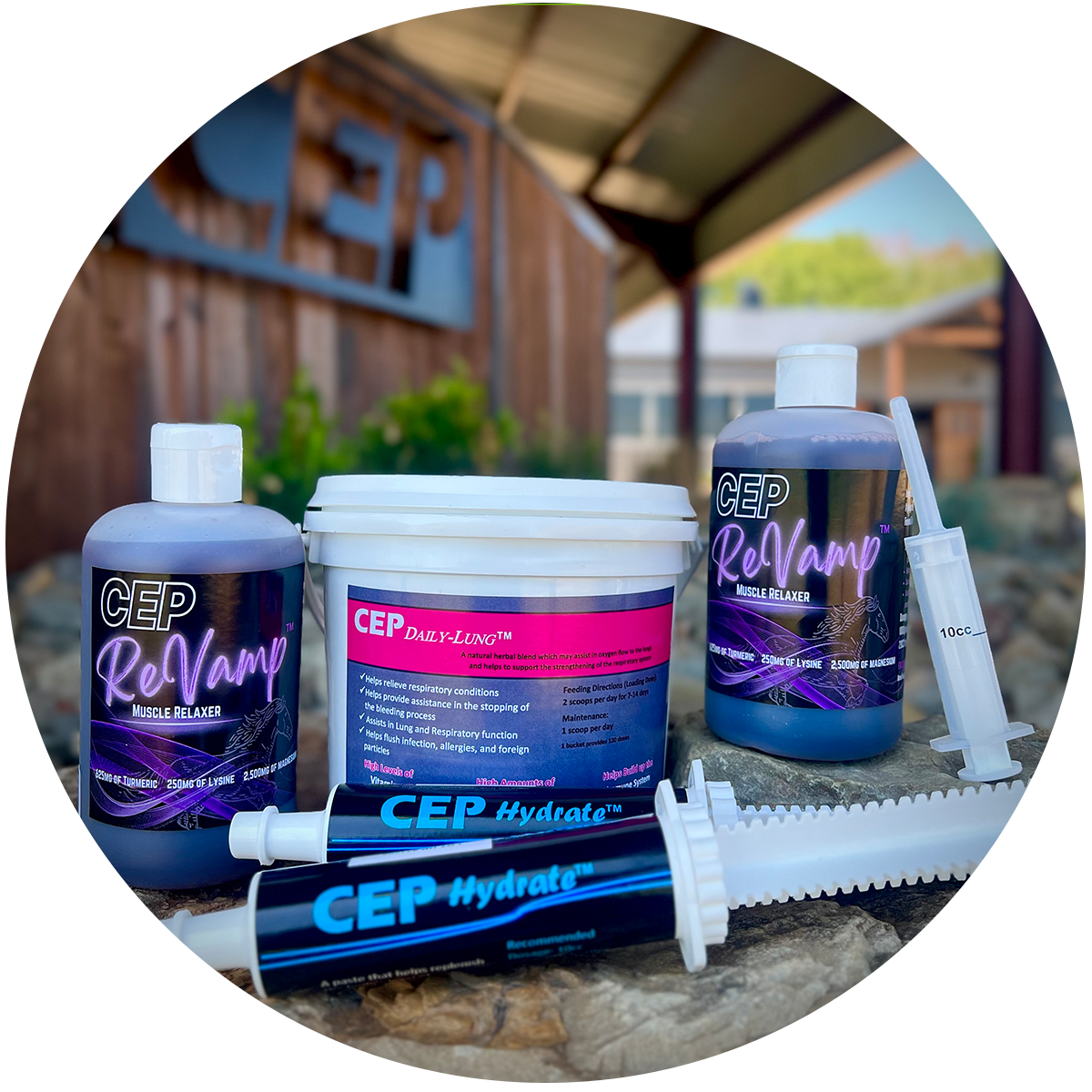 Complete Equine Performance