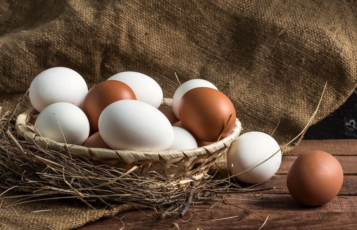 7 Collagen-Rich Foods to Add to Your Diet