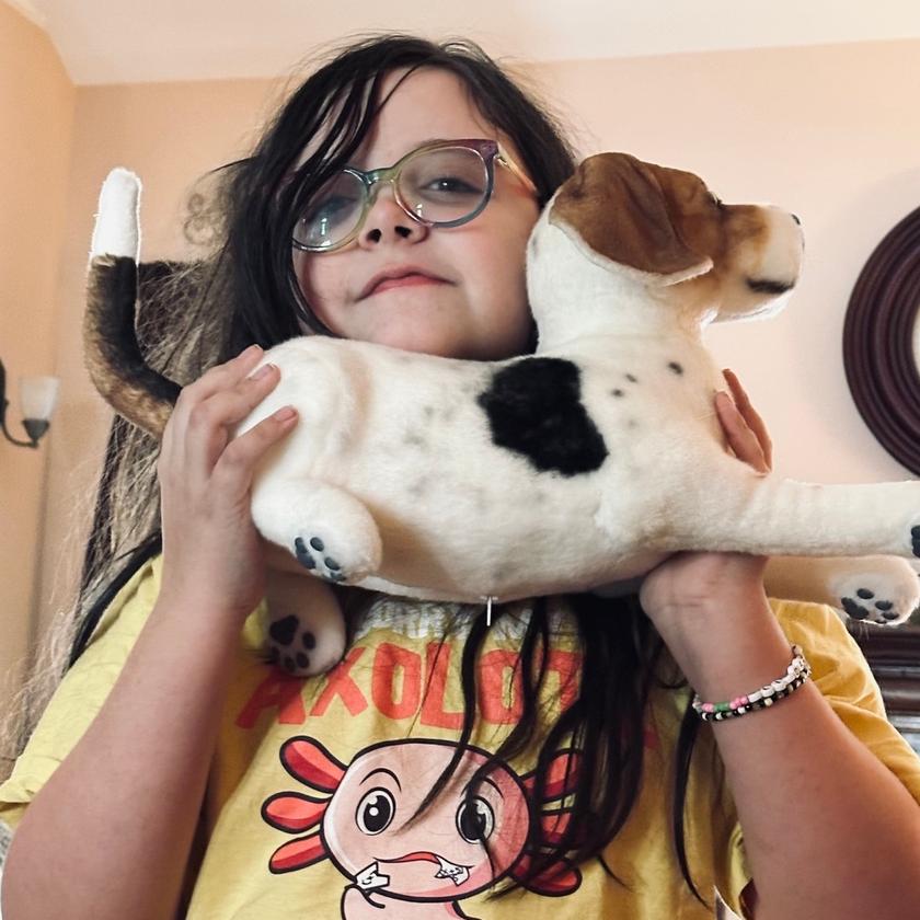 Custom Stuffed Animal of Your Pet | Handmade Plush From Photos