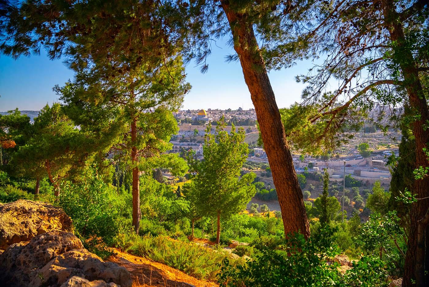 Jewelry by I Am Israel