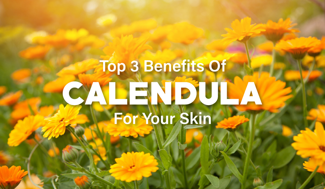 Top 3 Benefits of Calendula for Skin