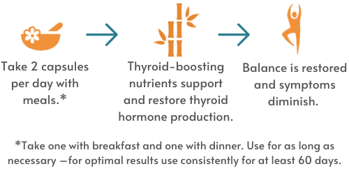 T-Balance Plus - Thyroid Support — Women's Health Network