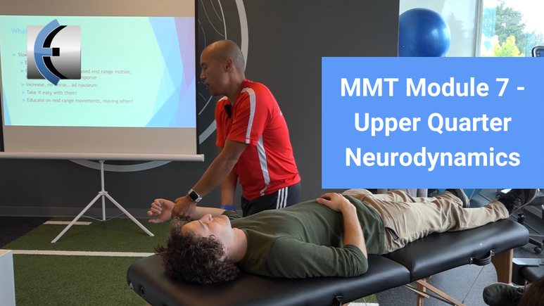 Modern Manual Therapy: The Eclectic Approach to UQ and LQ Assessment a