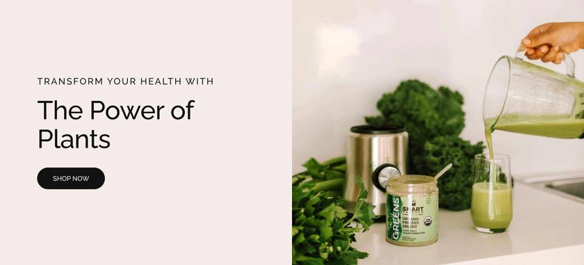 Let's Get You Back On Track- Plant-based, Organic Superfoods for Life