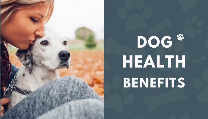 The Health Benefits Of Dog Ownership - TrueHarness™
