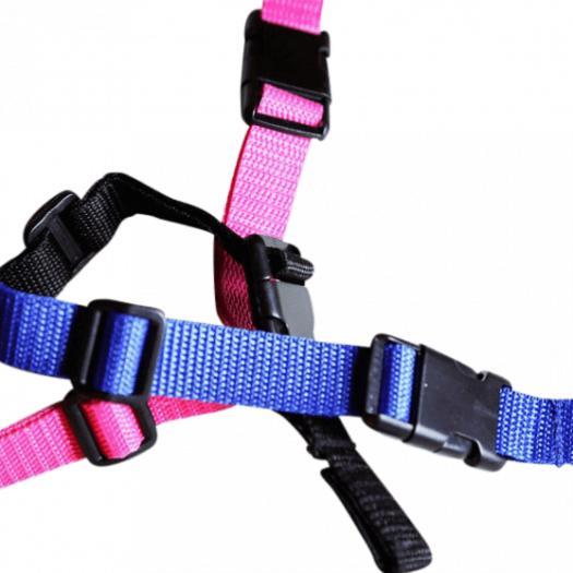 BarkWise™ Blue Collar Strap | HomeShielders