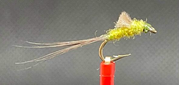 Blue Winged Olives Nymphs – Togens Fly Shop