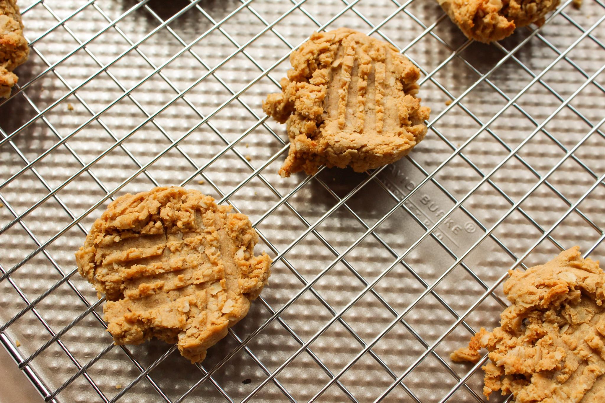 Healthier You: Peanut Butter Protein Cookies – Astroflav