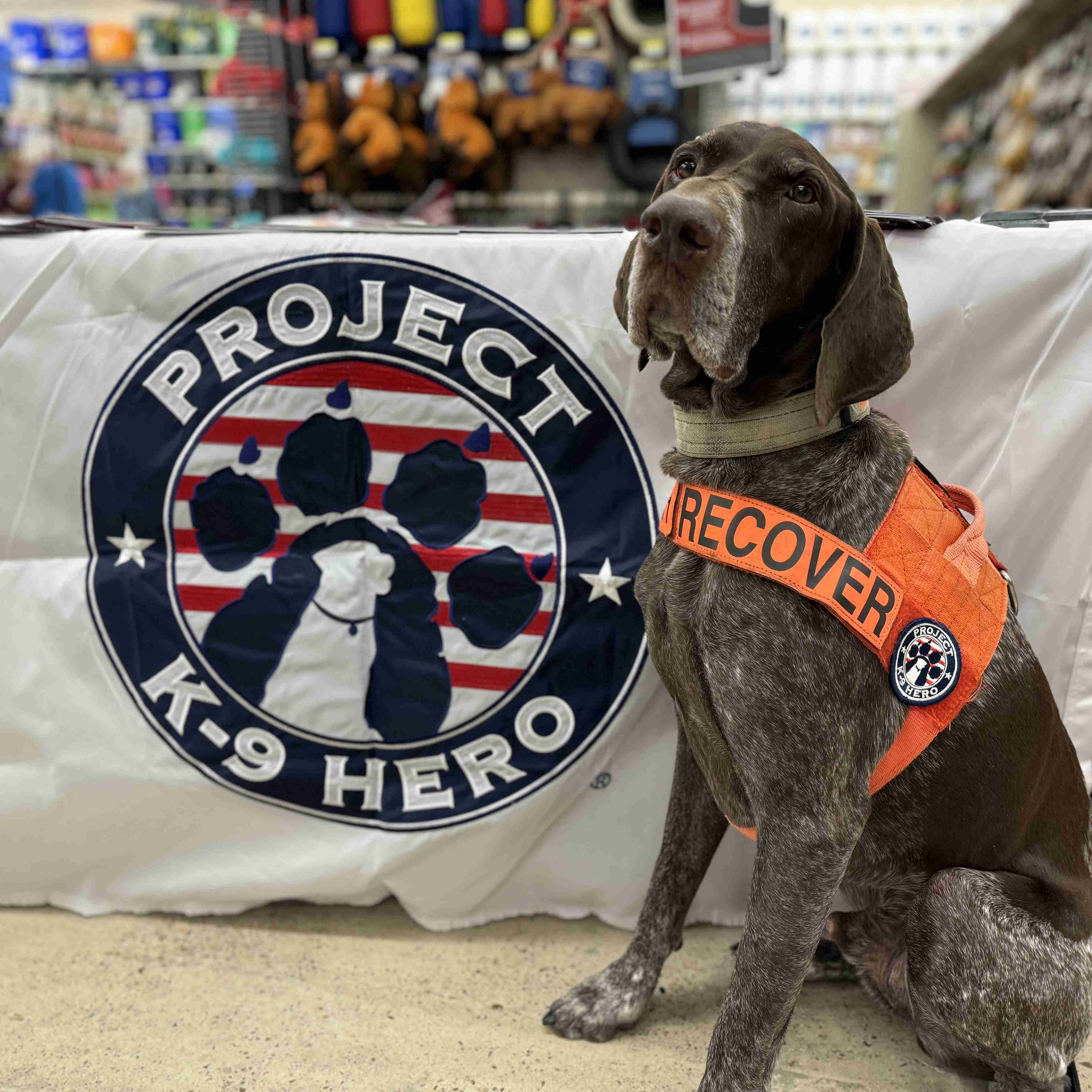 Project K-9 Hero Fundraisers