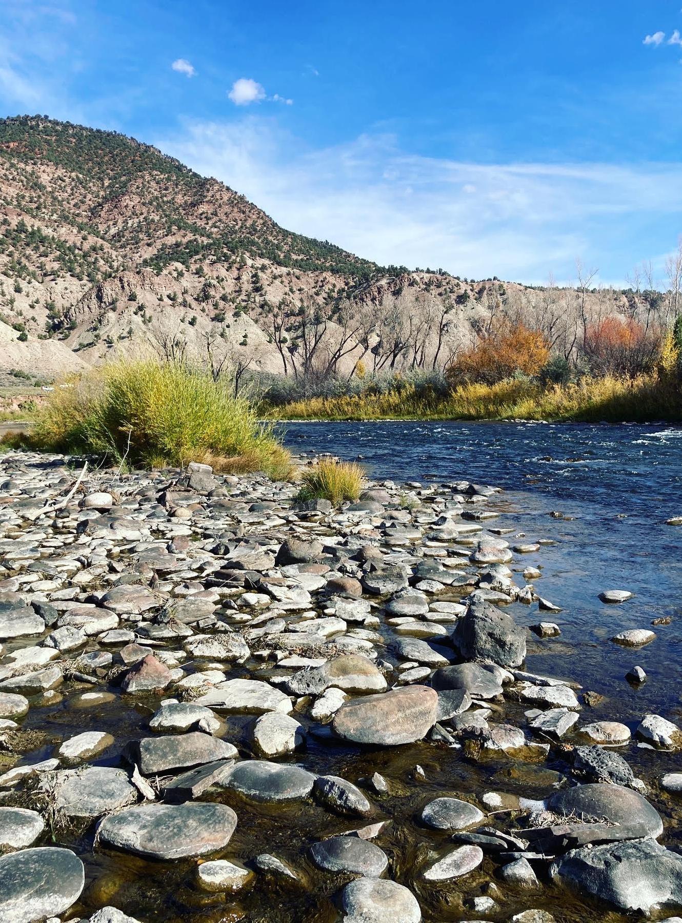 Freestone & Tailwater & Spring Creeks – Togens Fly Shop