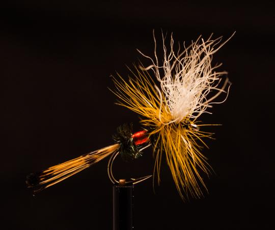 10 Fly Patterns For Trout – Togens Fly Shop