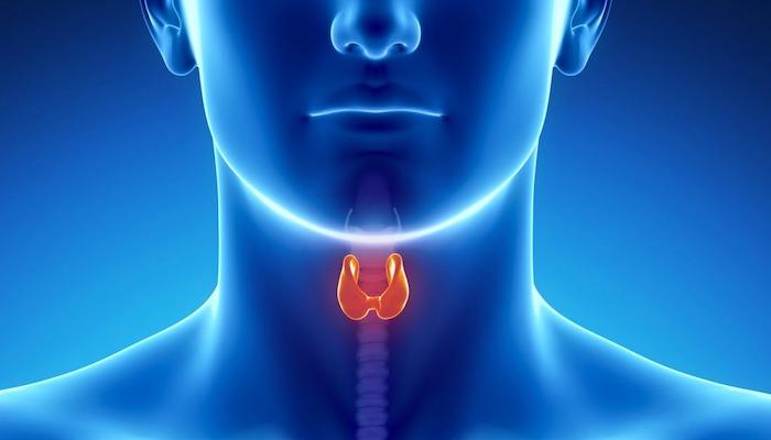 Signs and Symptoms of Thyroid Problems – 1 Body