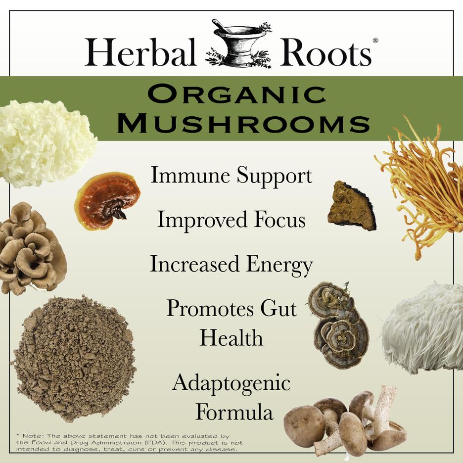 Organic 8 Mushrooms Blend for Immune Support - 60 VegCaps – Herbal Roots