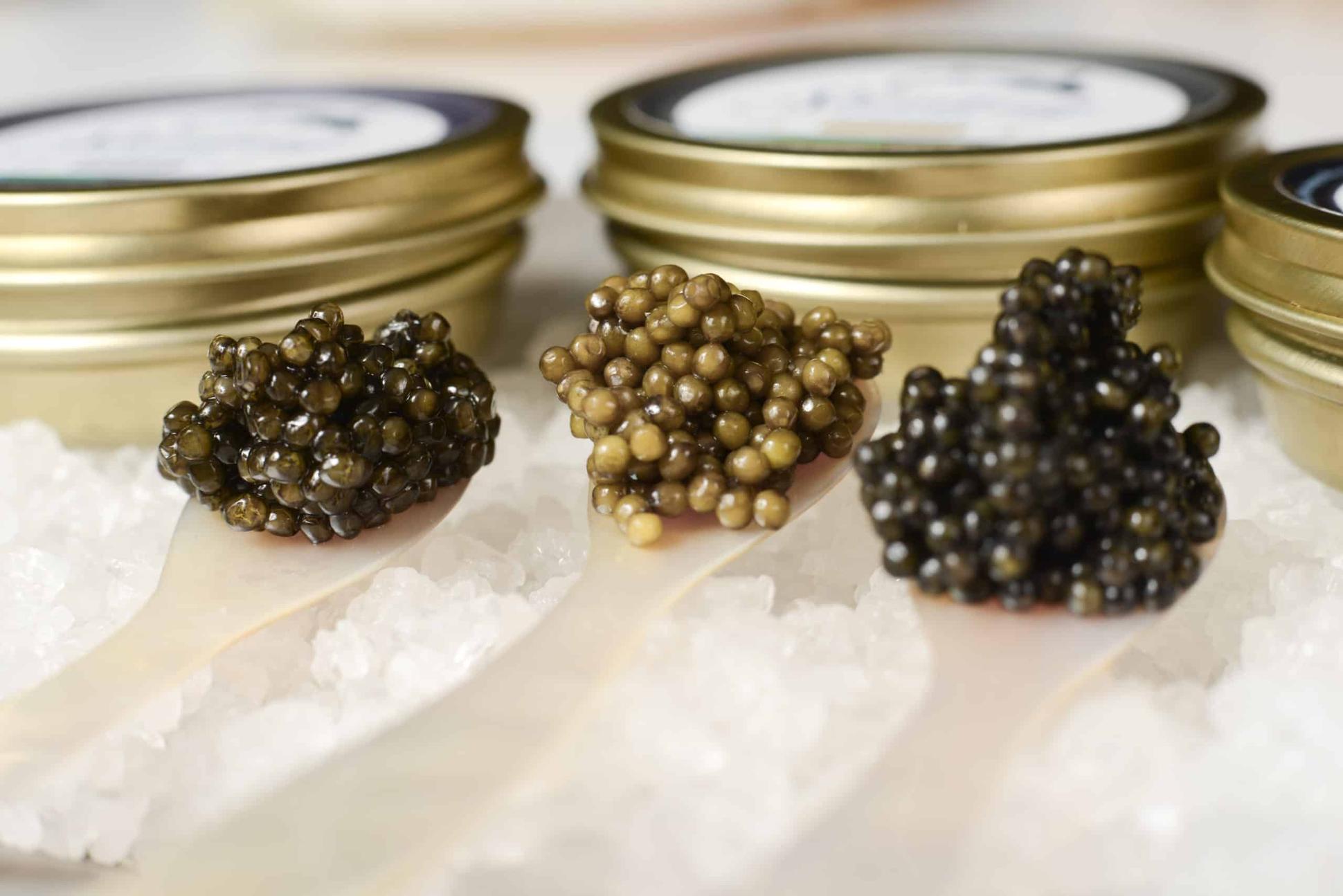 Unveiling the Cost: How Much is Caviar and Why is it So Expensive ...