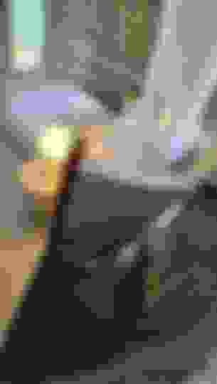 Merribee Gardens Visit — Aussie Gardener