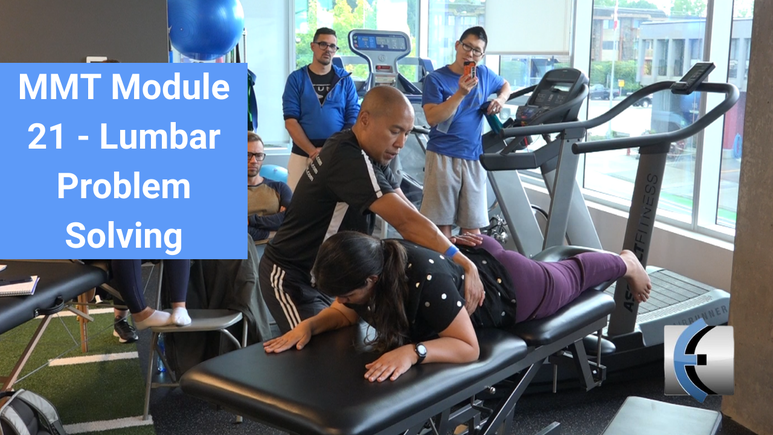 Modern Manual Therapy: The Eclectic Approach to UQ and LQ Assessment a