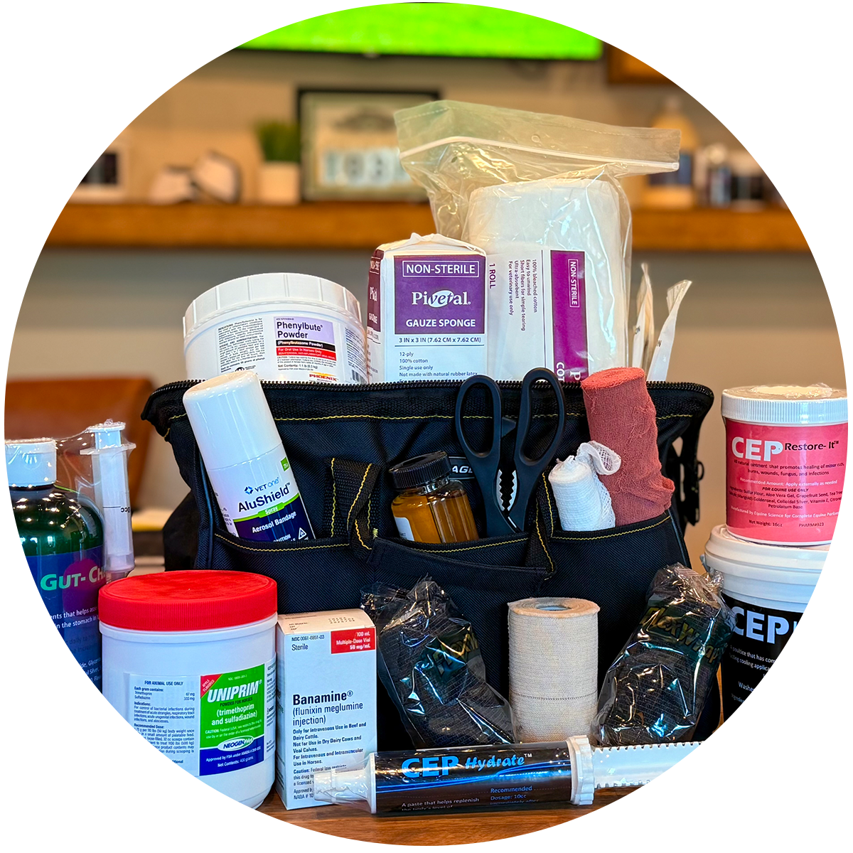 Complete Equine Performance