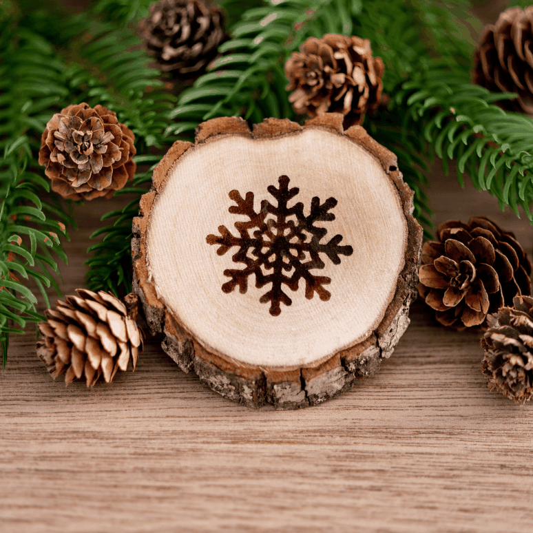 Premium Wood Slices 10 pack - Scorch Marker