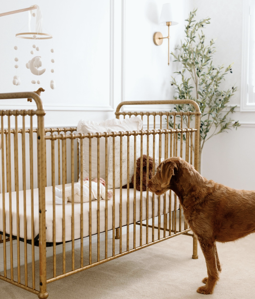 Custom Dog Baby Mobile