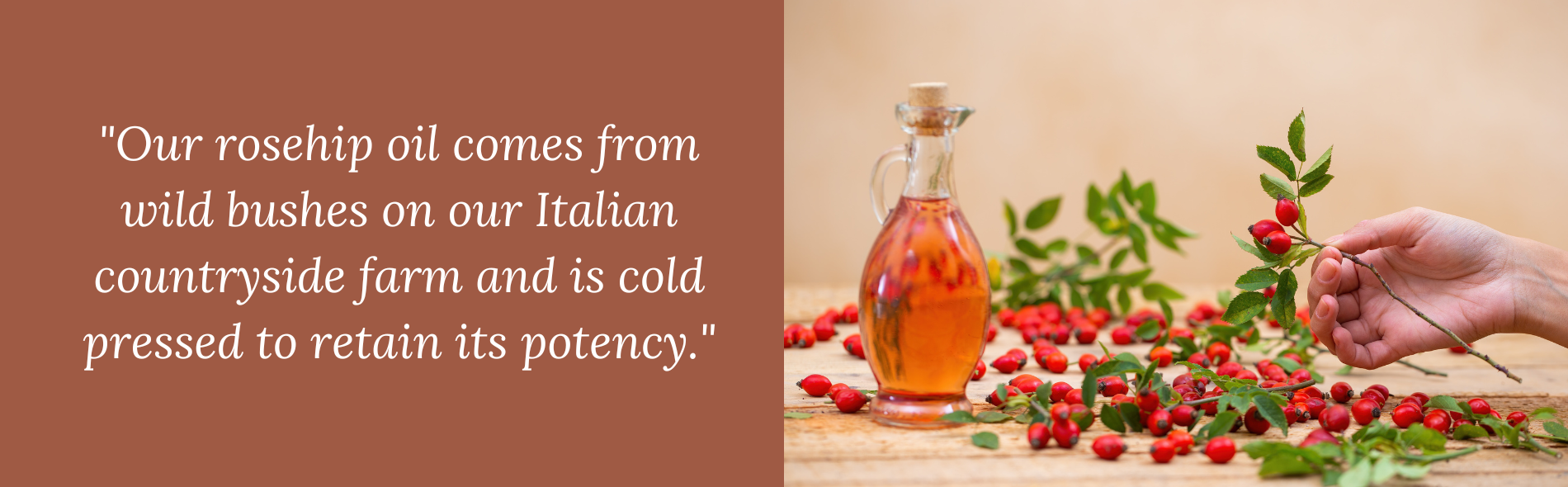 Rosehip: How this Natural Ingredient Can Transform Your Skin