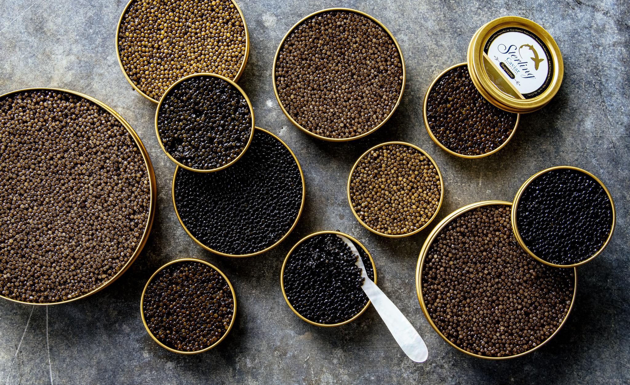 Caviar Benefits: More than Just a Gourmet Delight – Sterling Caviar