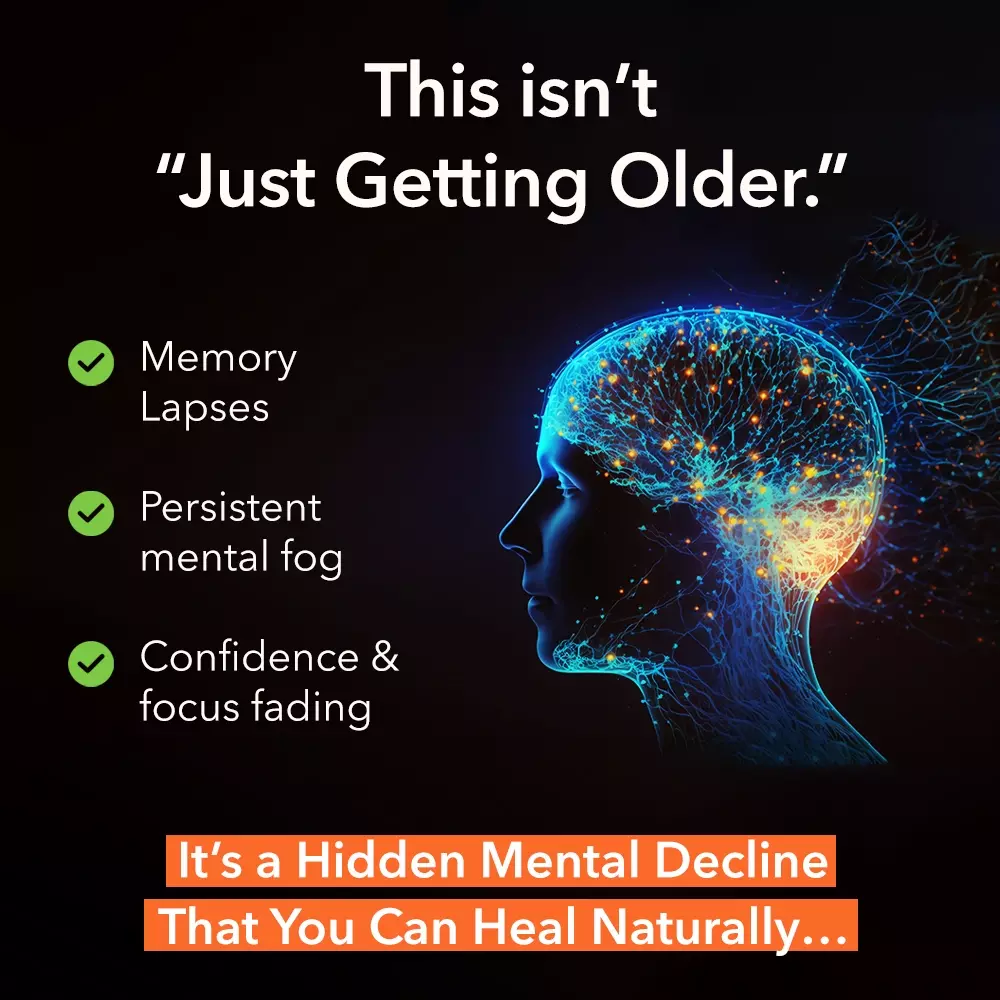 Breakthrough Research Reveals… What causes memory lapses as we age...