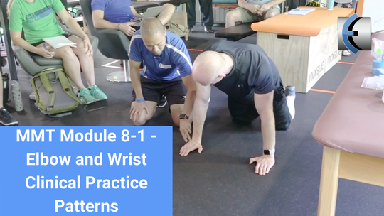 Modern Manual Therapy: The Eclectic Approach to UQ and LQ Assessment a