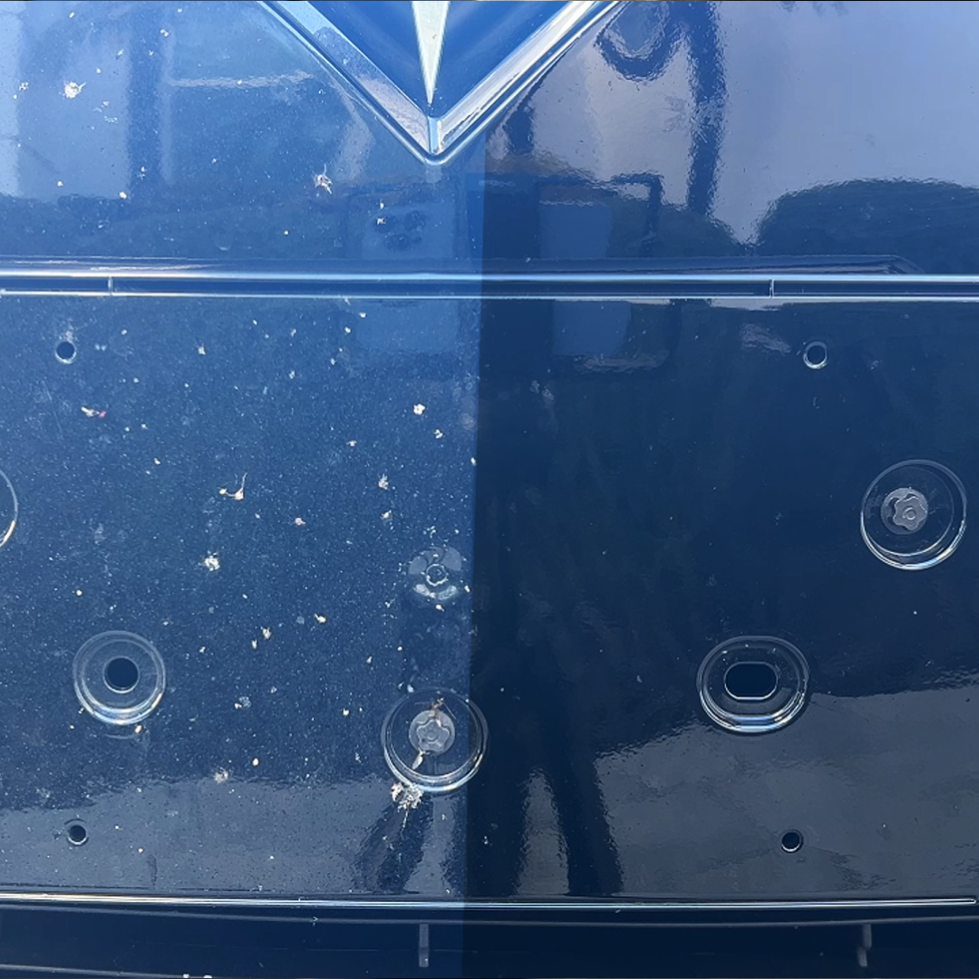 MAXL ONE with Triphene - MAXL®