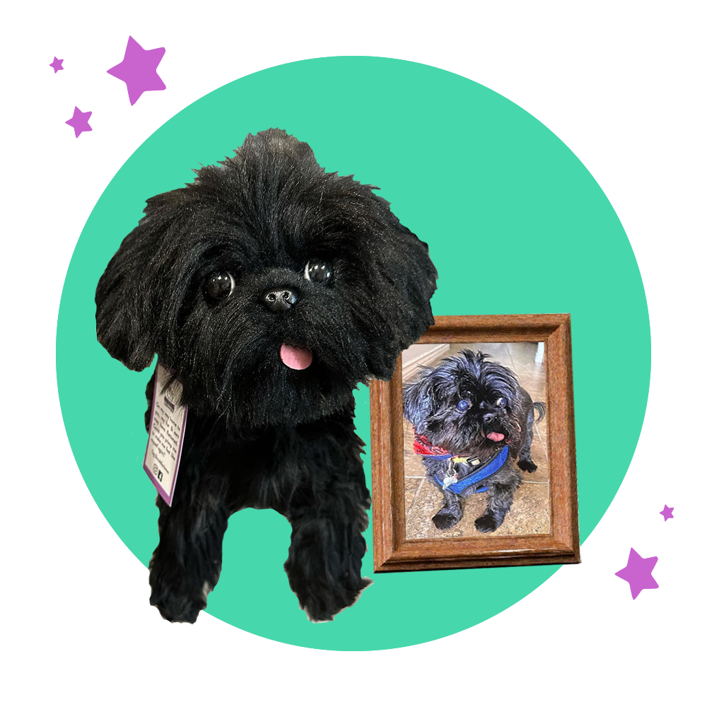 Stuffed Animal That Looks Like Your Pet | Customize a High-Quality Dog ...