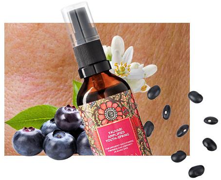 Moisturizers - A comprehensive guide | The Ayurveda Experience