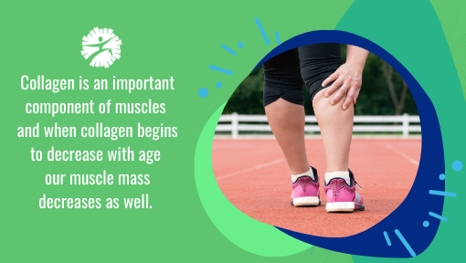 Want to Build Bigger Muscles? Here's why Collagen Should Be Your Main ...