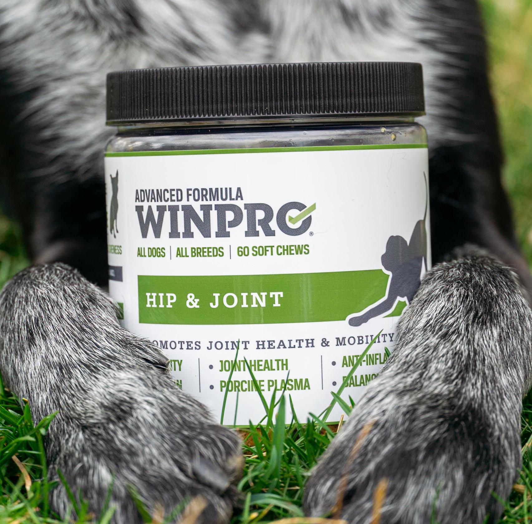 WINPRO 30 Day Mobility Challenge