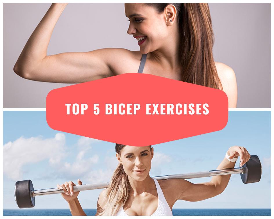 Top 5 Bicep Exercises - Sports Wholesale Supply