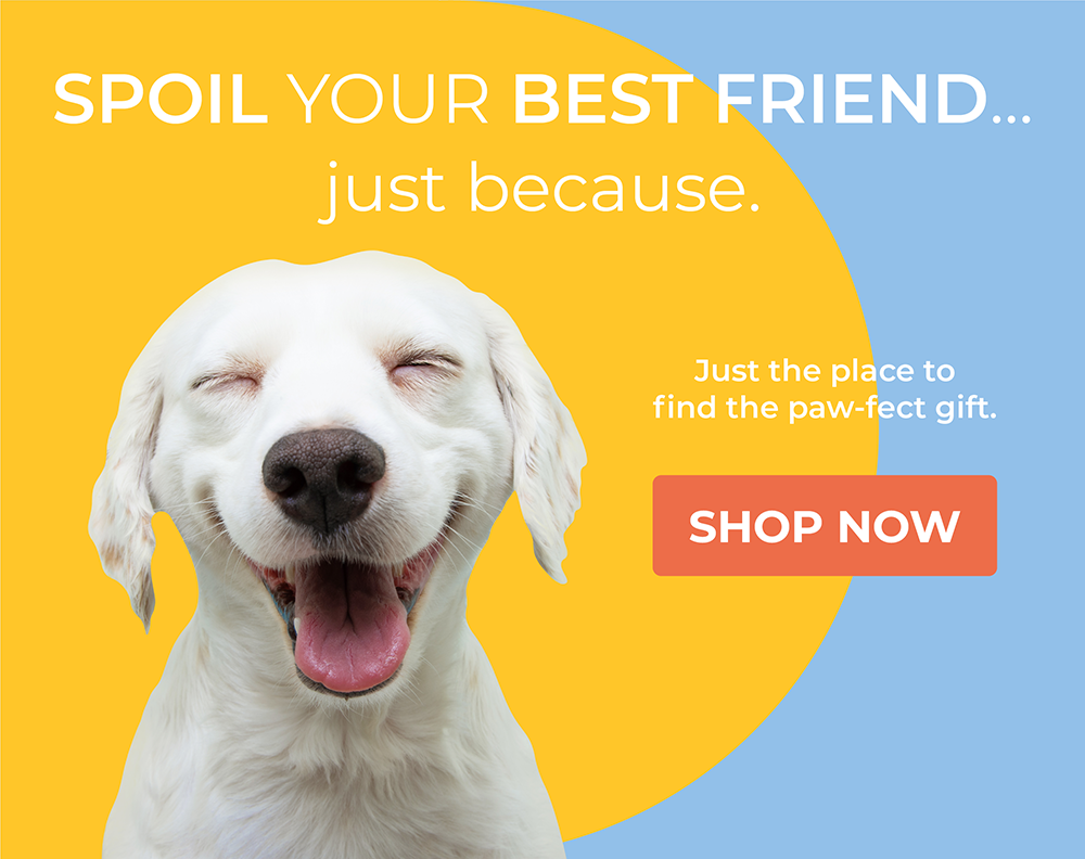 Vet Recommended Pet Supplies at Low Prices | Alpha Paw