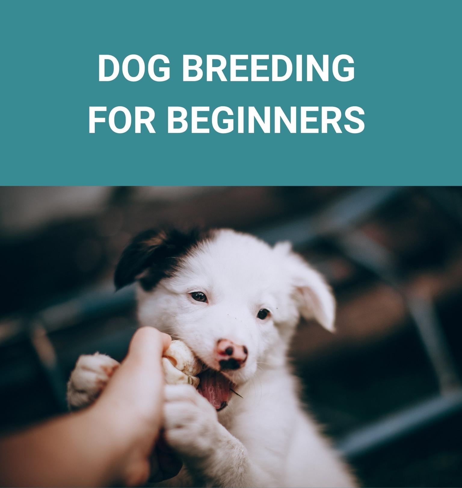 Dog Breeding for Beginners - Potty Buddy™