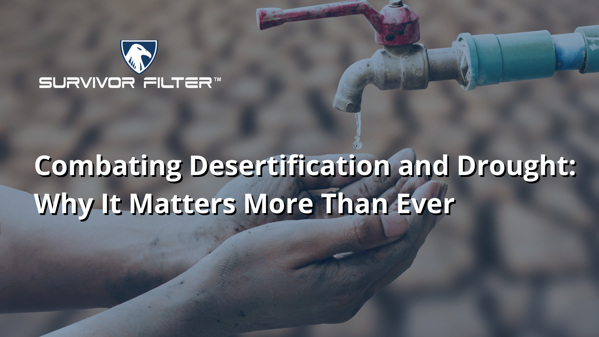 Combating Desertification and Drought: Why It Matters More Than Ever ...