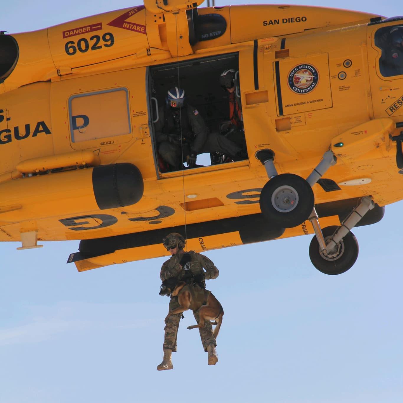 Emergency Medical Appeal for Retired K-9 Heroes – Project K-9 Hero