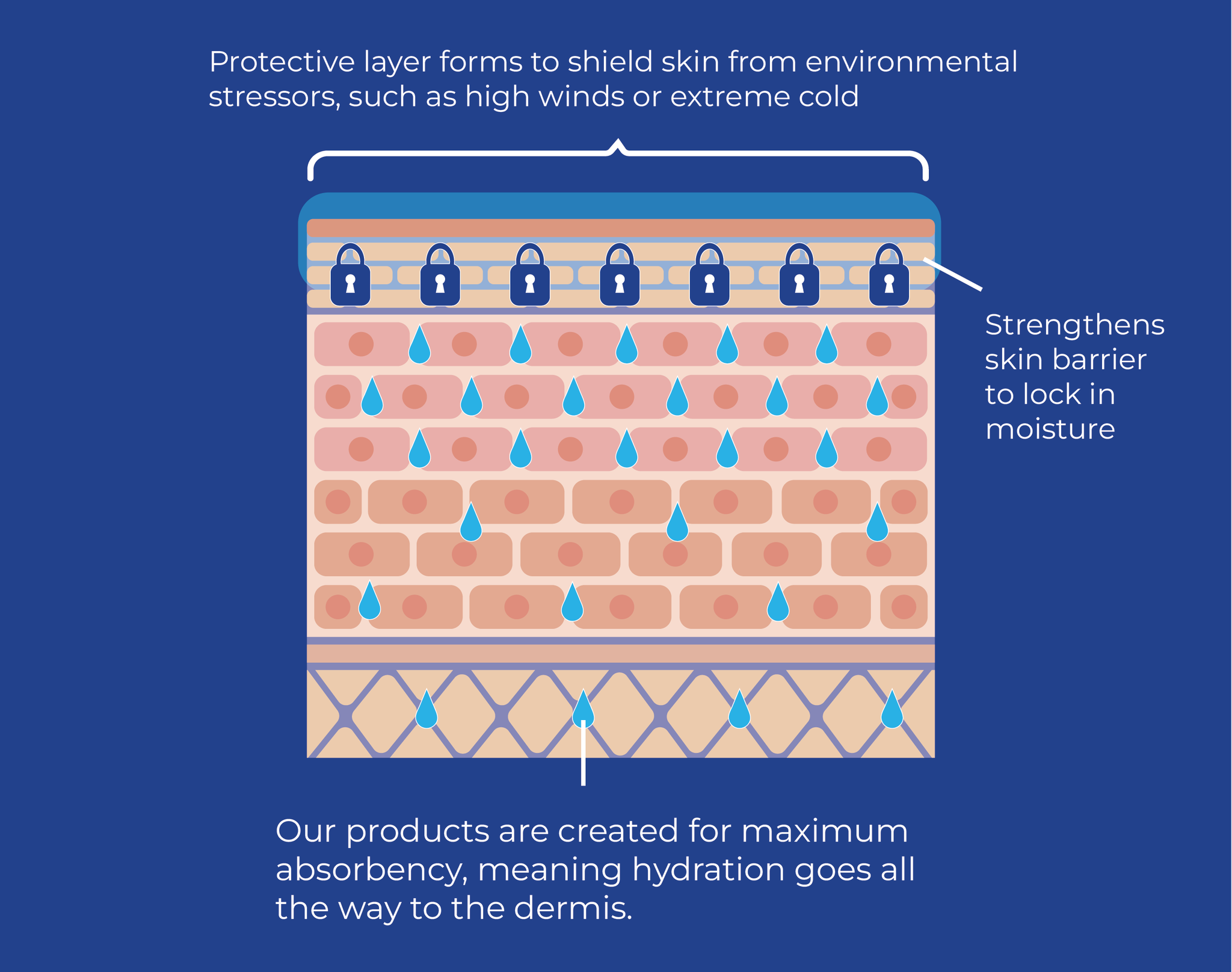 Medayssinian Lipid Complex™ | Deep Hydration & Renewal by Trilipiderm