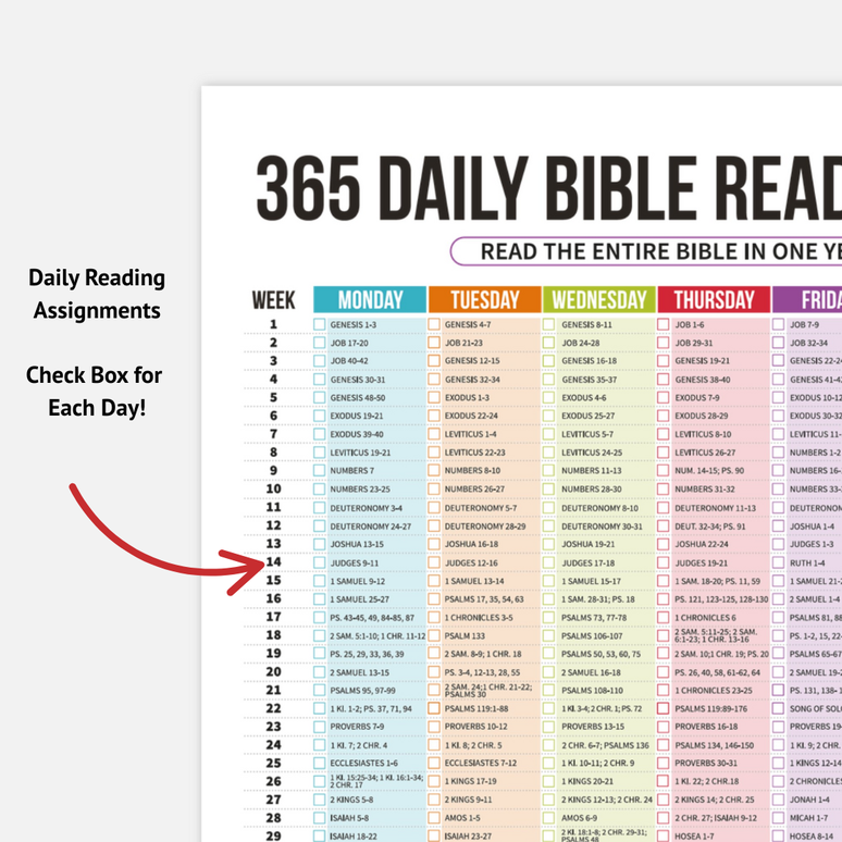 365 Day Bible Reading Plan Poster