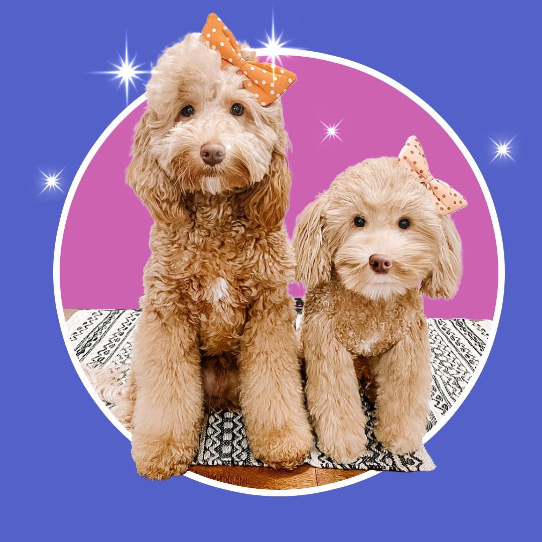 Custom Stuffed Animals | Buy Customized Animals & Custom Plushies