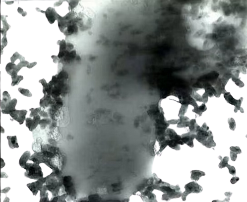 What is Double Helix Water | Blog