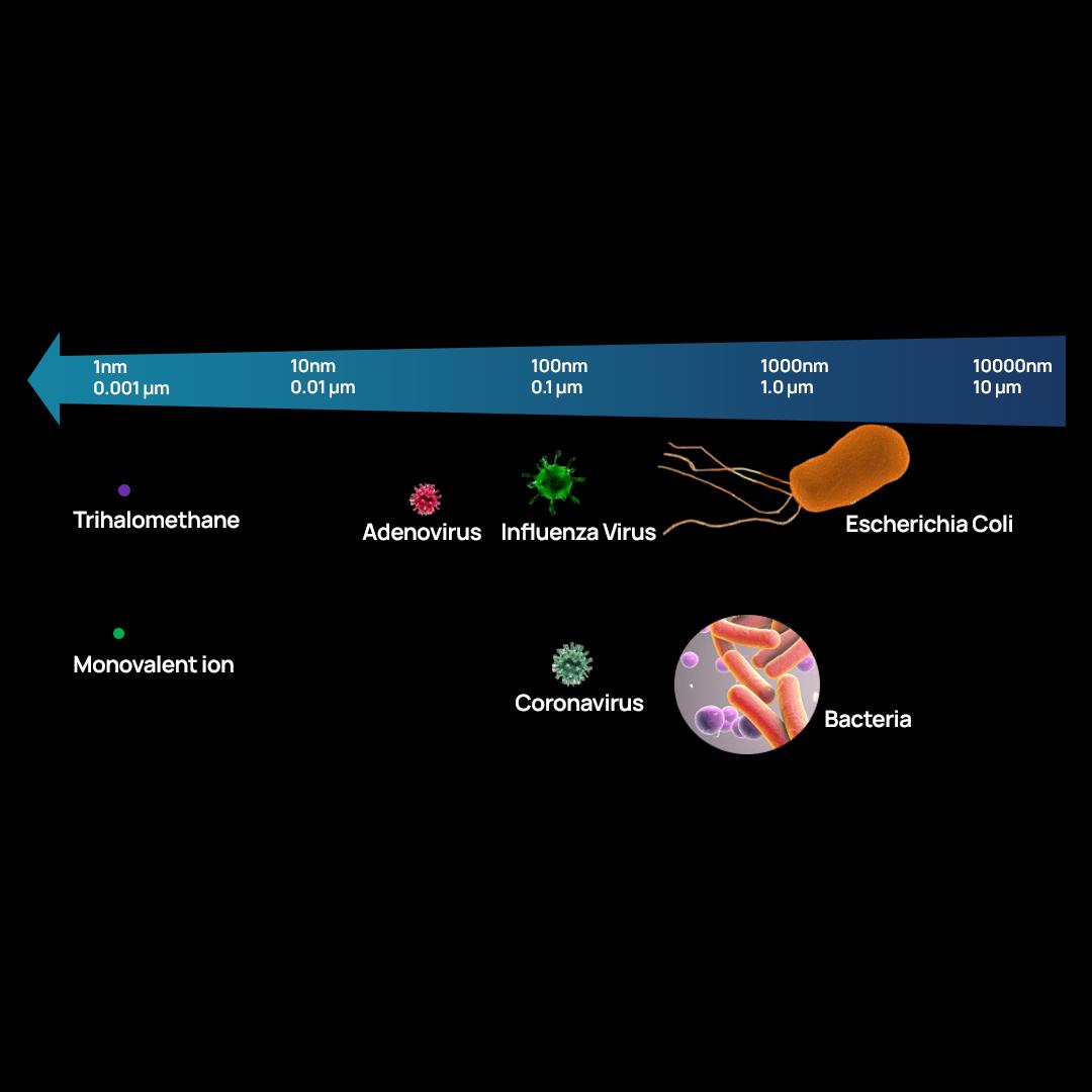 Sterra Y™ Water Purifier