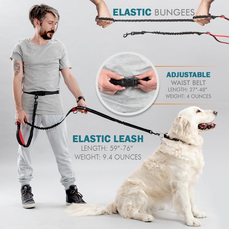 Extra Long Hands Free Dog Leash for One Large Dog - PetDreamland