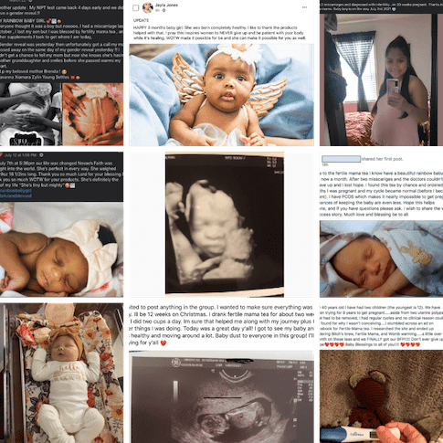 Fertile Mama Bundle – Wisdom of the Womb