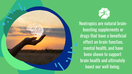 Enhance Your Mind With Brain Support Supplements – 1 Body