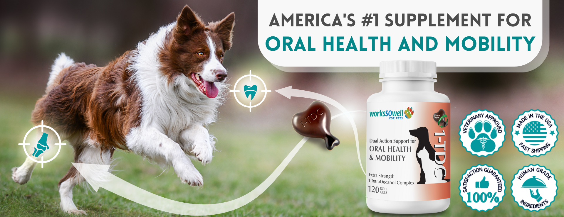 1-TDC Dental Report Card Download