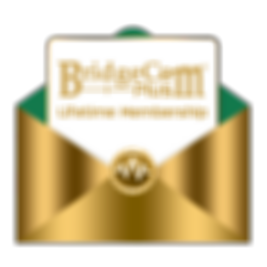 BridgeCom Plus Product Launch Page