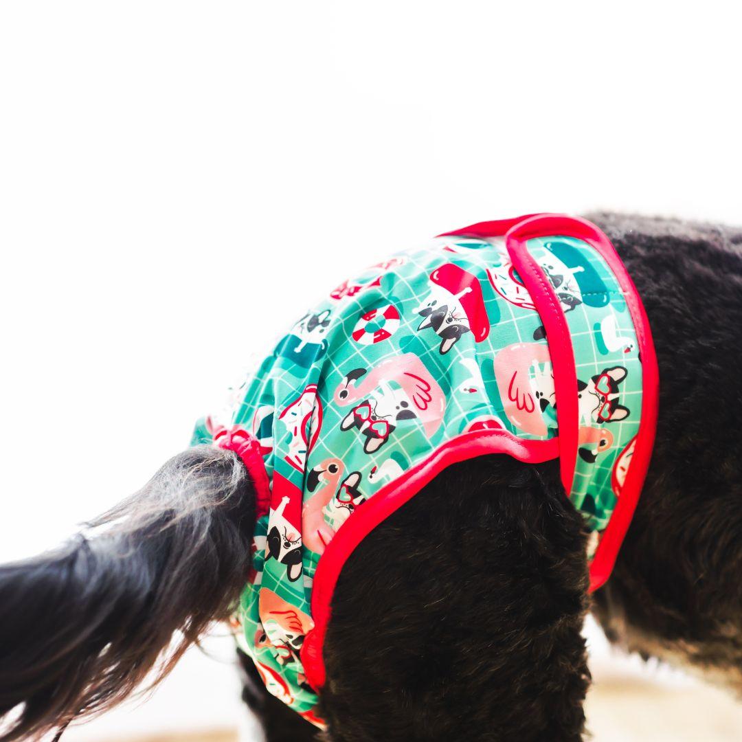 How to Choose the Best Dog Diapers - The Complete Guide - Potty Buddy™