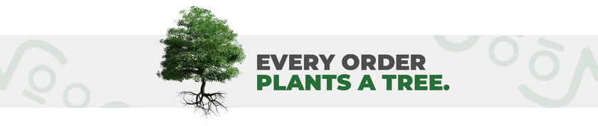 Dittle - Dice Battle | Coffee Table Game